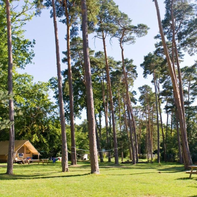 Campings in Parijs + Kamperen bij Disneyland | Onze tips!